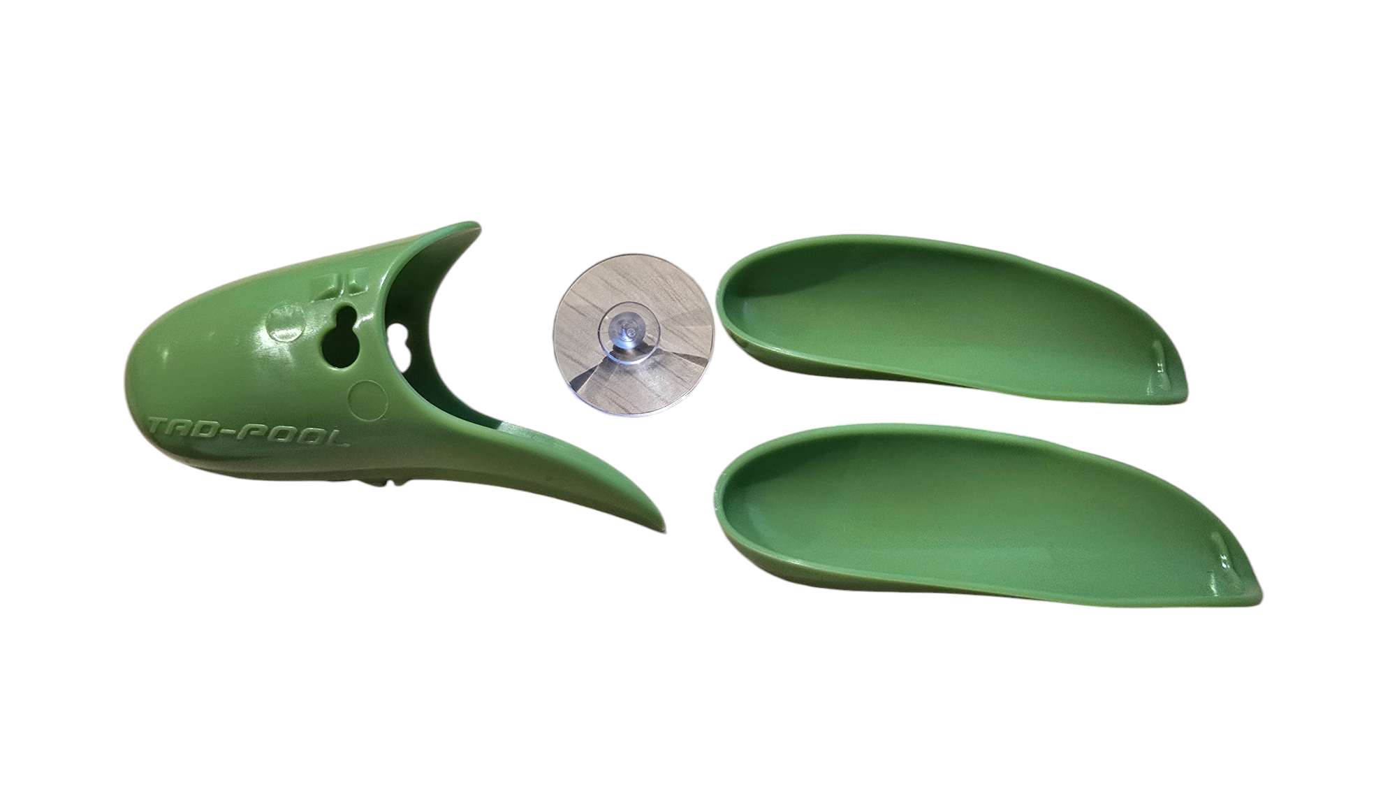 Tadpool sistema deposizione Dendrobates - NG Terrariums